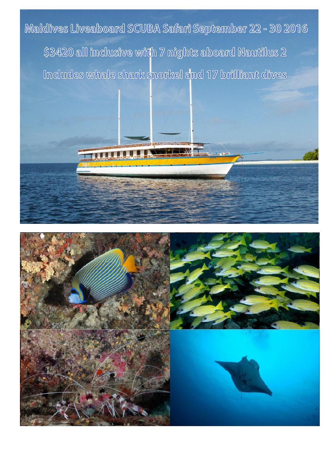Maldives liveaboard scuba safari september 22 2016 by Alan Wiggs - Issuu