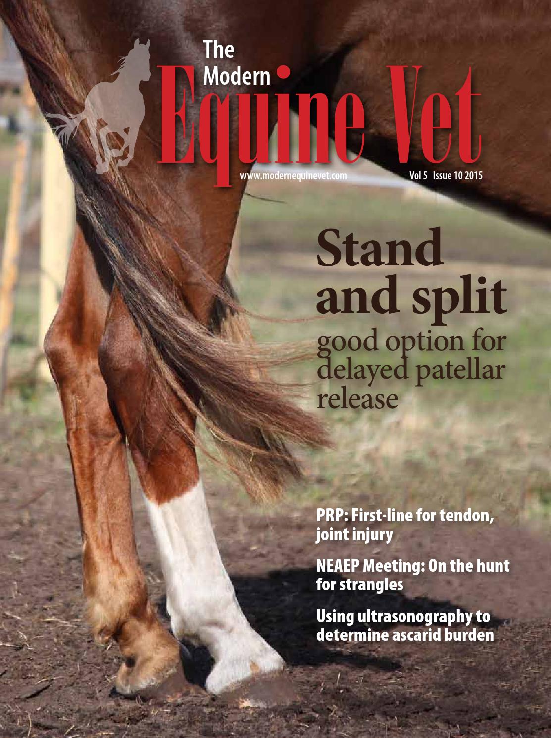 The Modern Equine Vet October 2015 by The Modern Equine Vet - Issuu