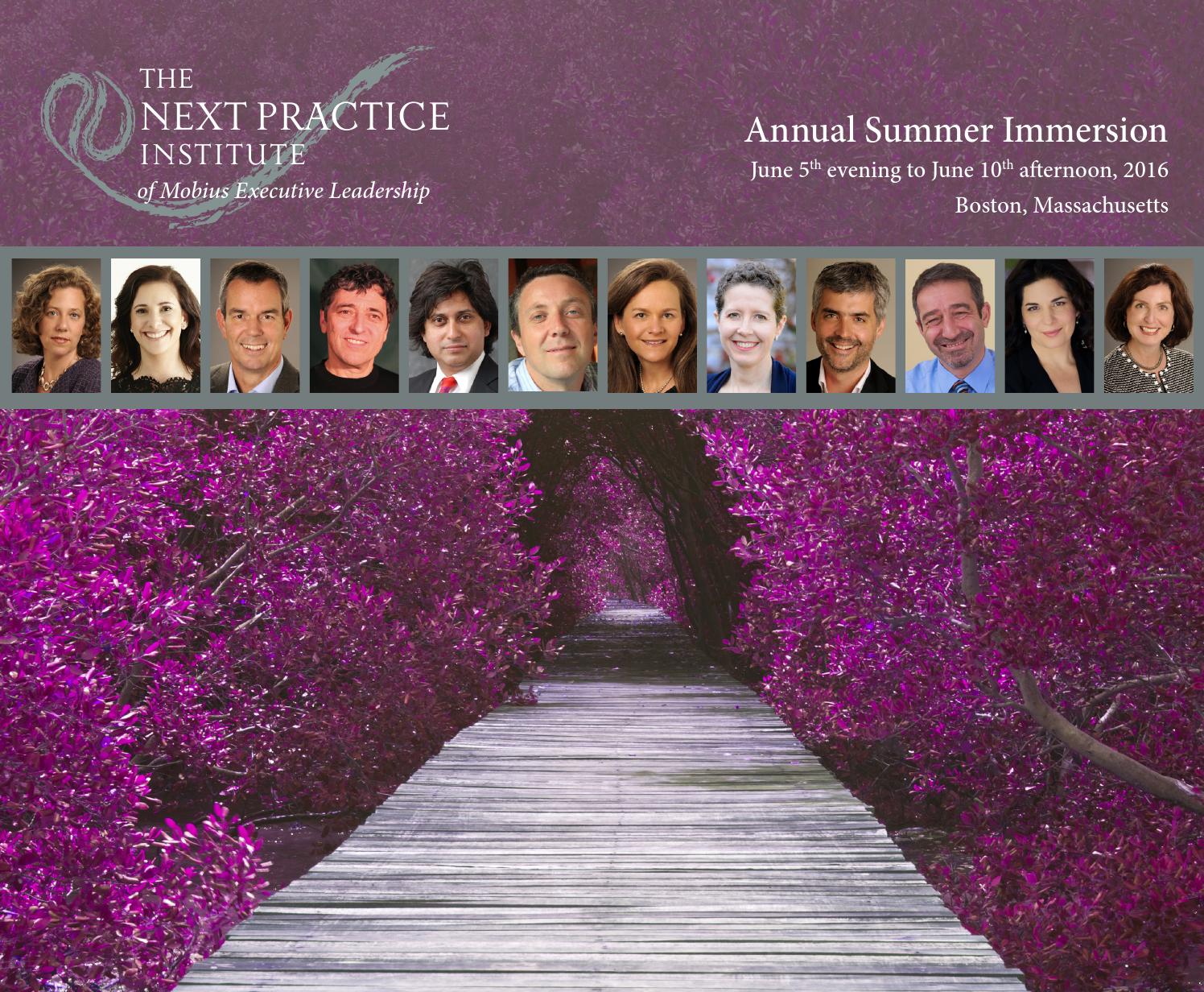 Next Practice Institute | Mobius by Mobius Executive Leadership - Issuu