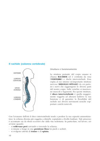 Doc ilrachide by Gli sfogliabili di LPD - Issuu
