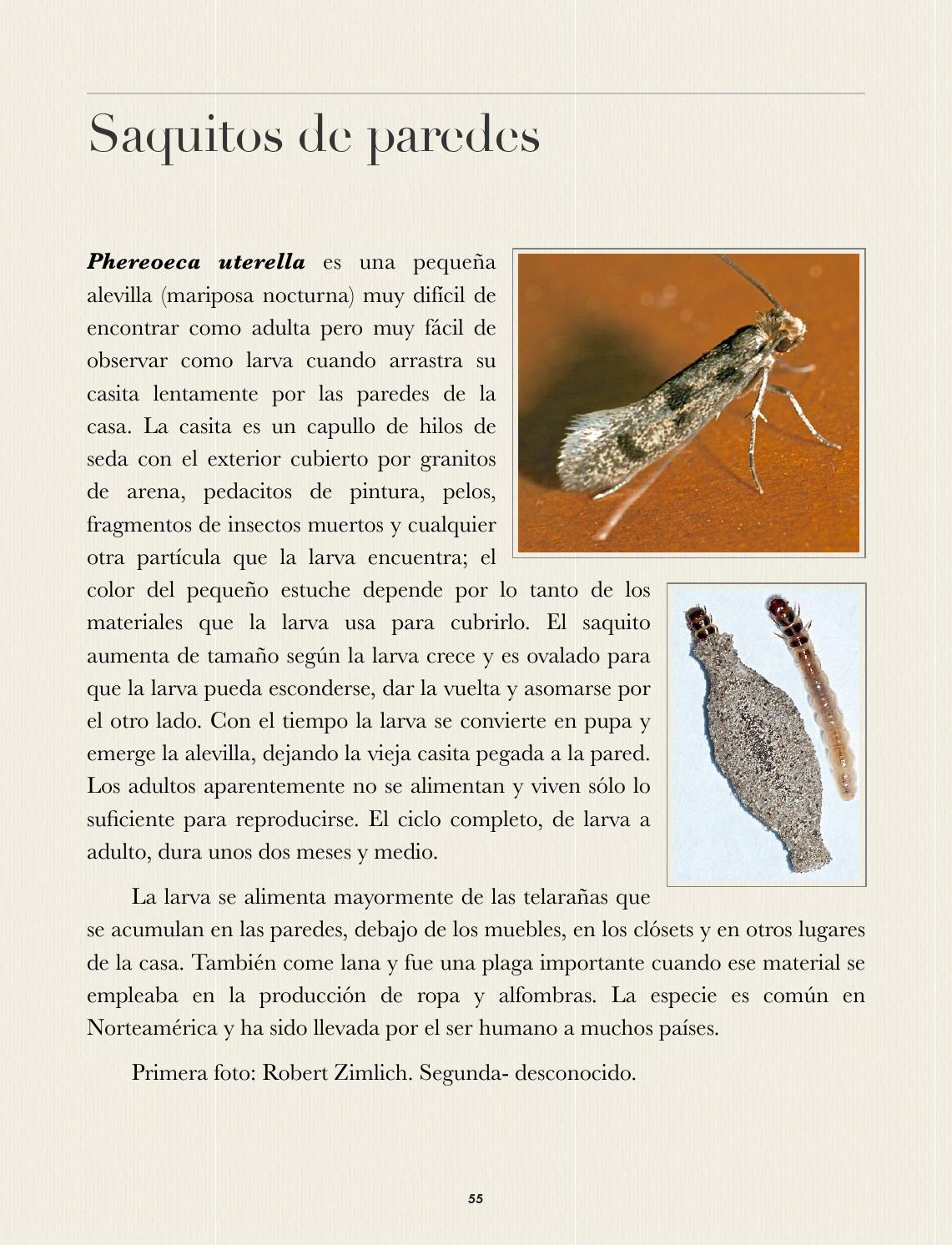 Fauna casera de Puerto Rico by La Colección Puertorriqueña - Issuu