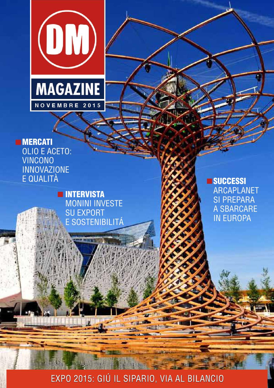 DM Magazine Novembre 2015 by Edizioni DM Srl - Issuu