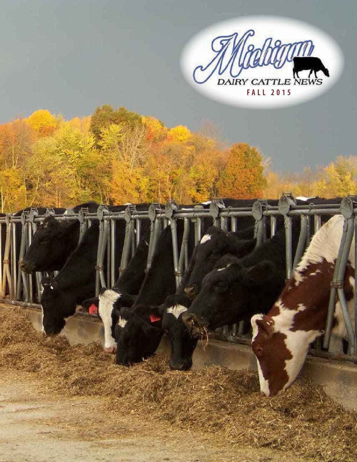 Michigan Dairy Cattle News 2015 Fall by Dairy Agenda Today - Issuu