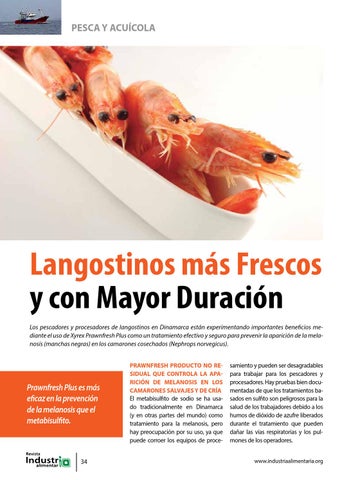 Revista Industria Alimentaria N° 18 by Industria Alimentaria - Issuu