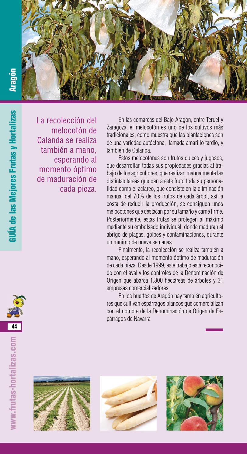 GUIA de las Frutas y Hortalizas by Horticultura & Poscosecha - Issuu