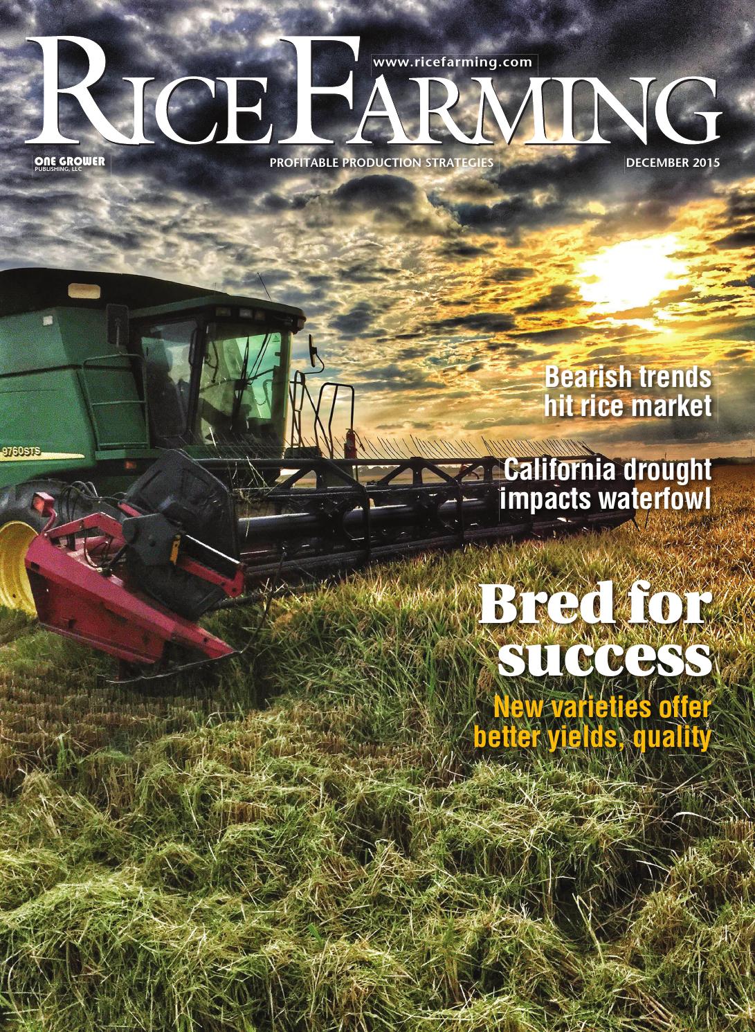 Rice farming december 2015 by One Grower Publishing - Issuu