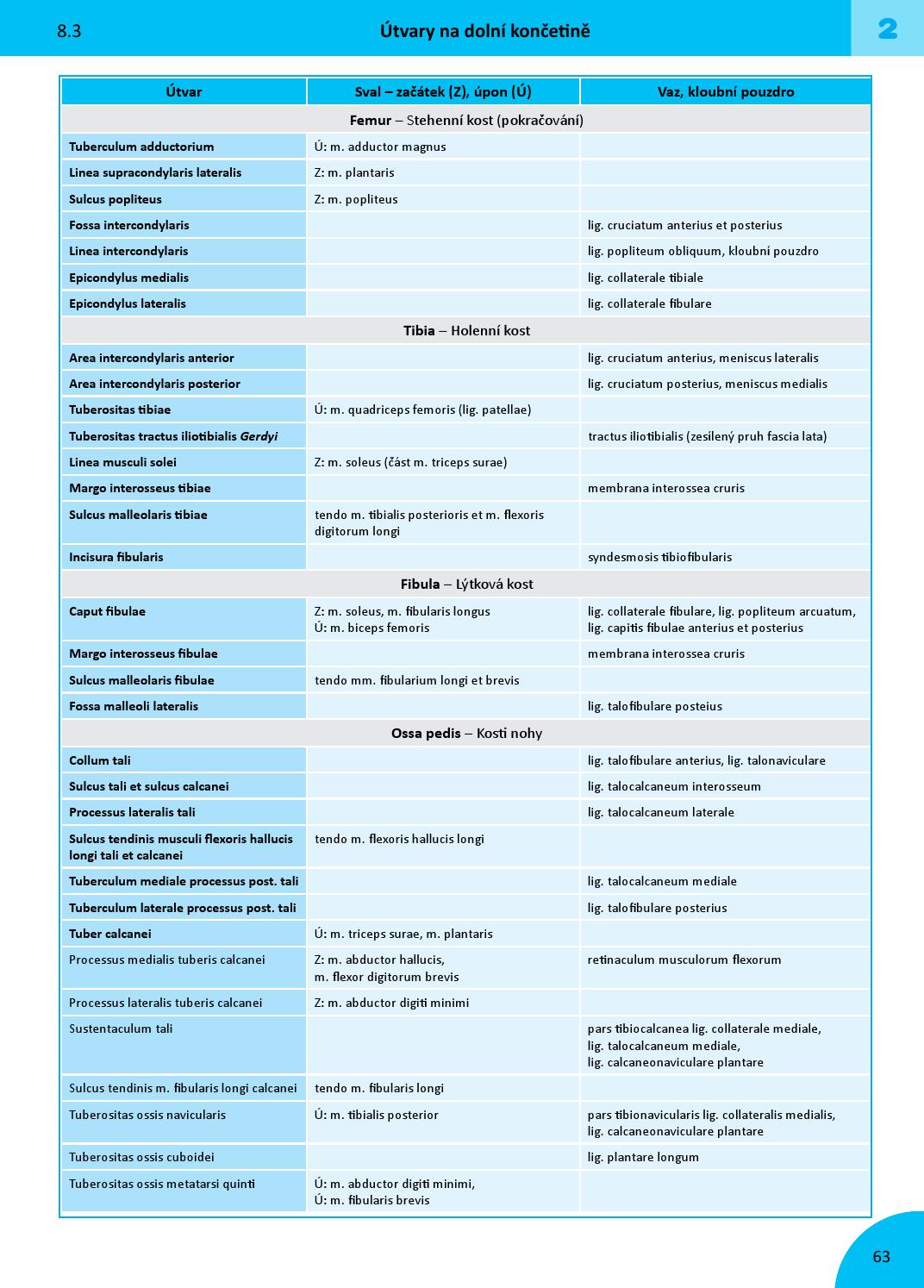 Memorix anatomie - 3. vydání (136 stran) by Radovan Hudak - Issuu