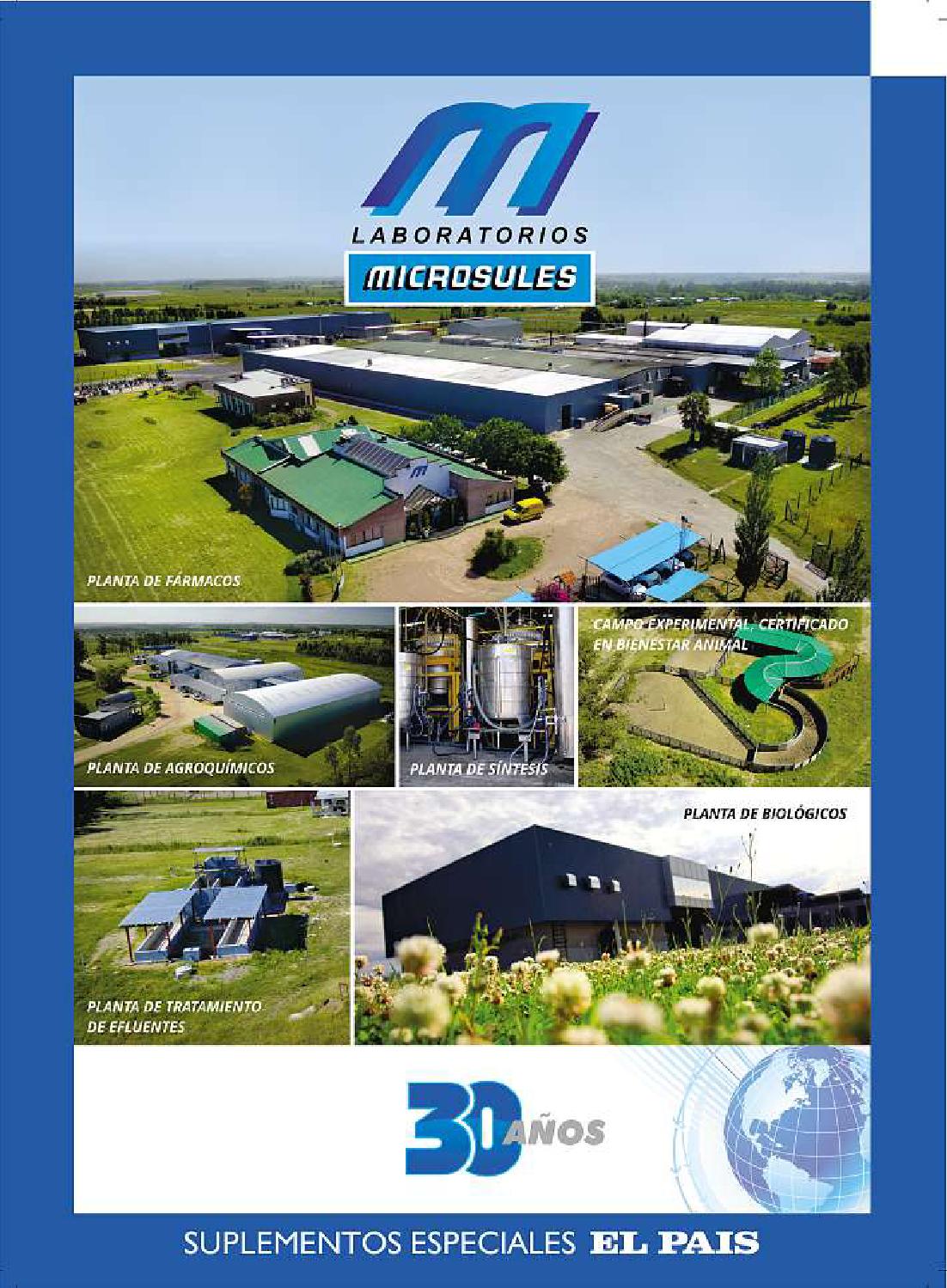 Microsules by EL PAIS - Issuu