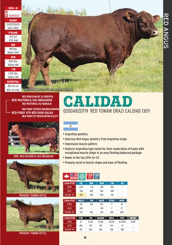 2016 International Semex Beef Catalogue by Semex - Issuu