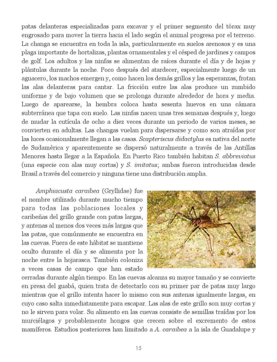 Insectos de Puerto Rico by La Colección Puertorriqueña - Issuu