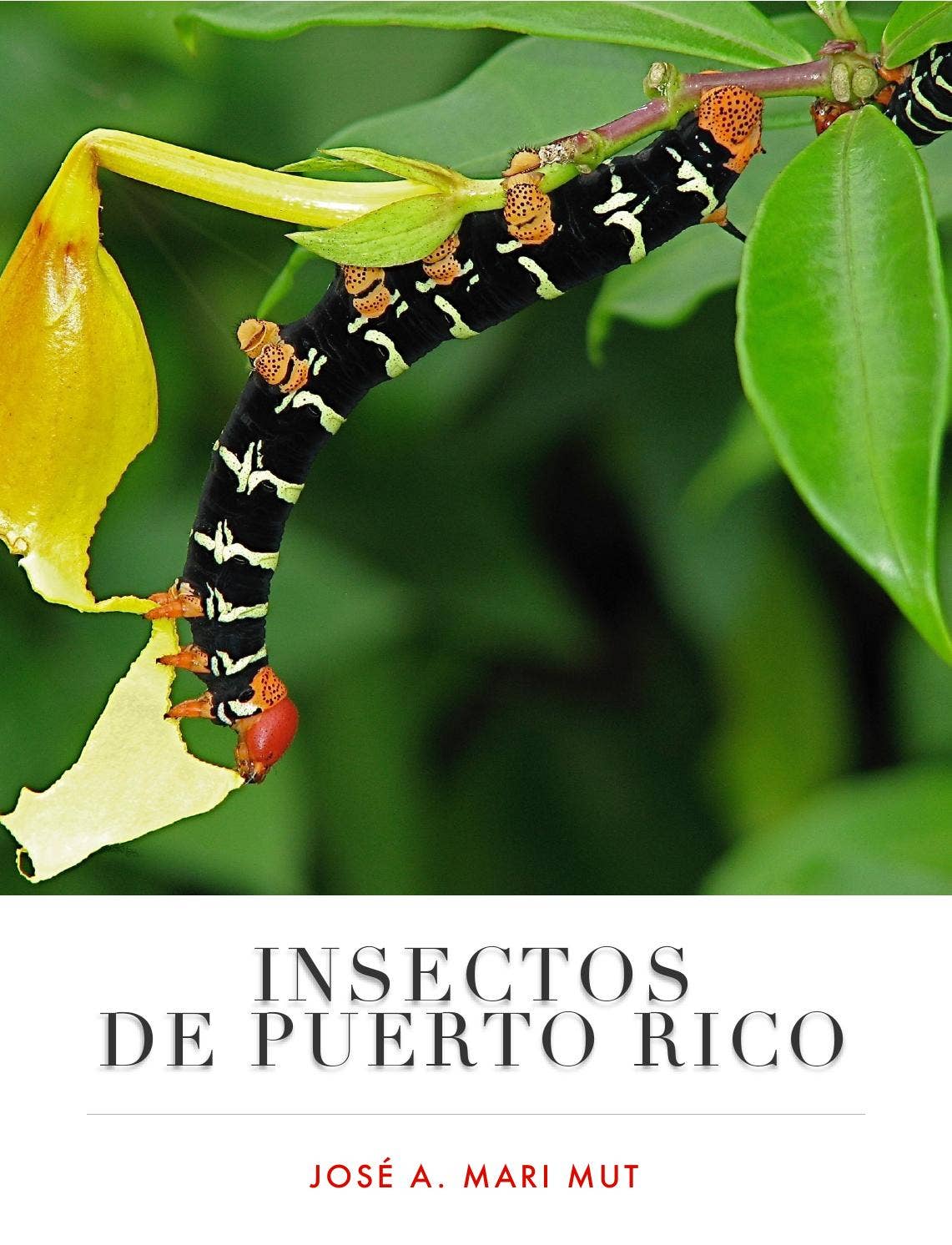 Insectos de Puerto Rico by La Colección Puertorriqueña - Issuu