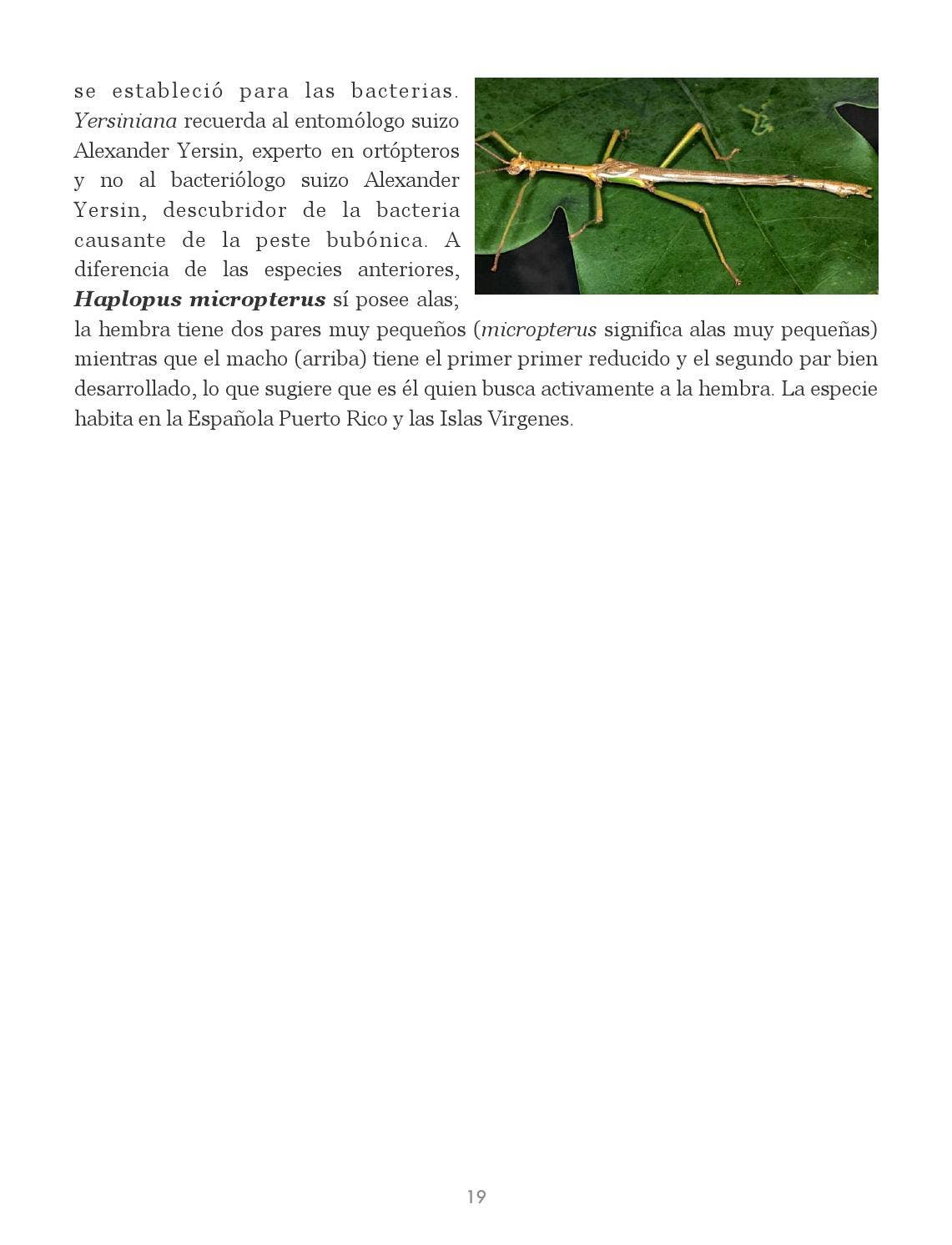 Insectos de Puerto Rico by La Colección Puertorriqueña - Issuu