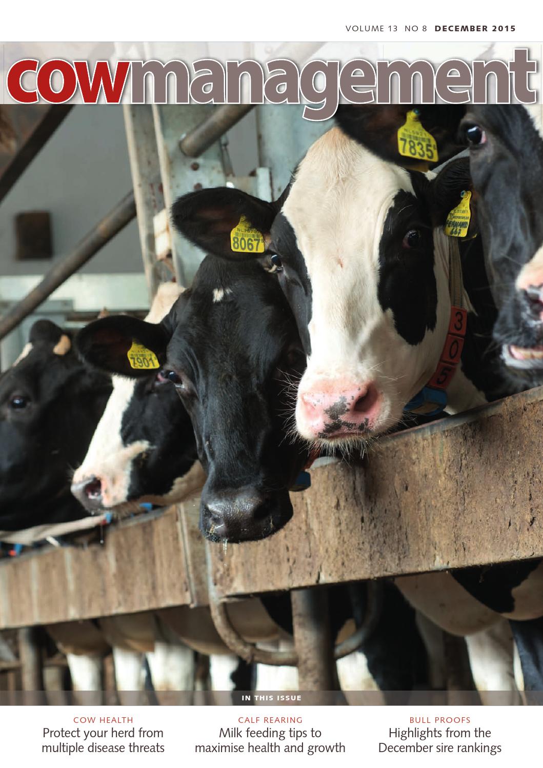 Cowmanagement UK december 2015 by CRV Uitgeverij/CRV Publishers - Issuu