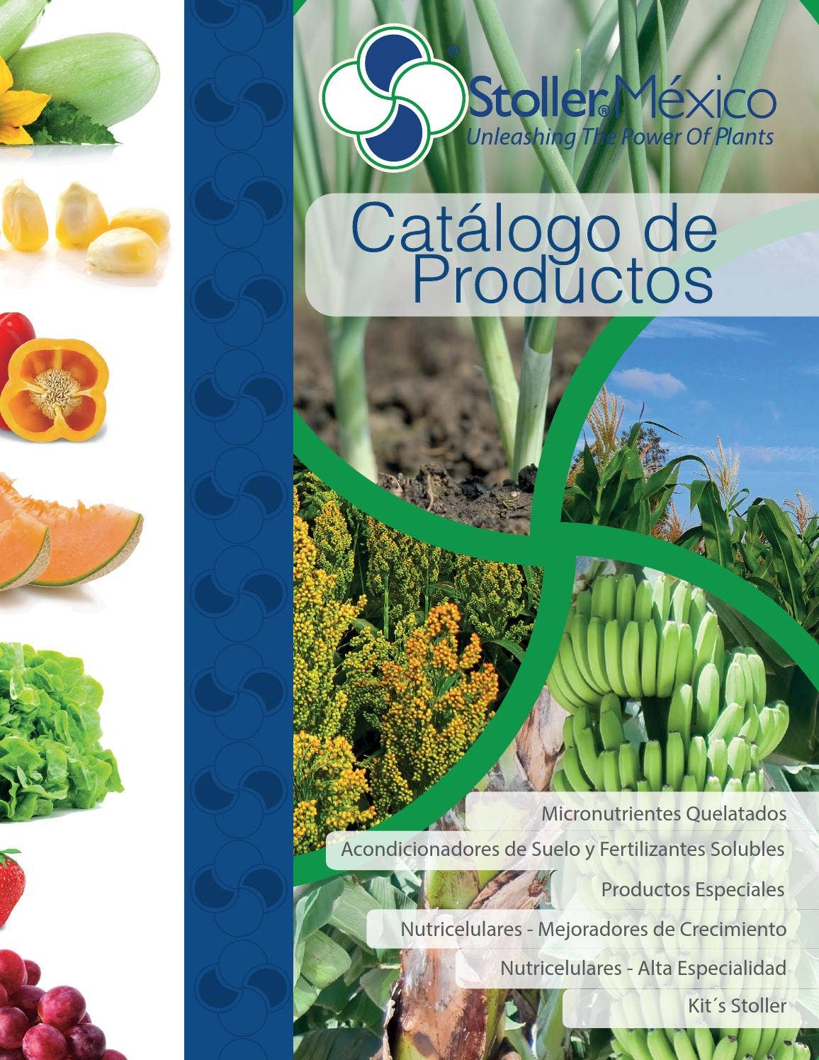 Catálogo de Productos Stoller Mexico by Stoller Stoller - Issuu