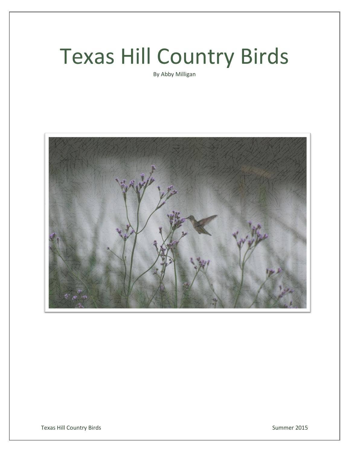 Texas Hill Country Bird Book - Abby Milligan by deaconspoint - Issuu