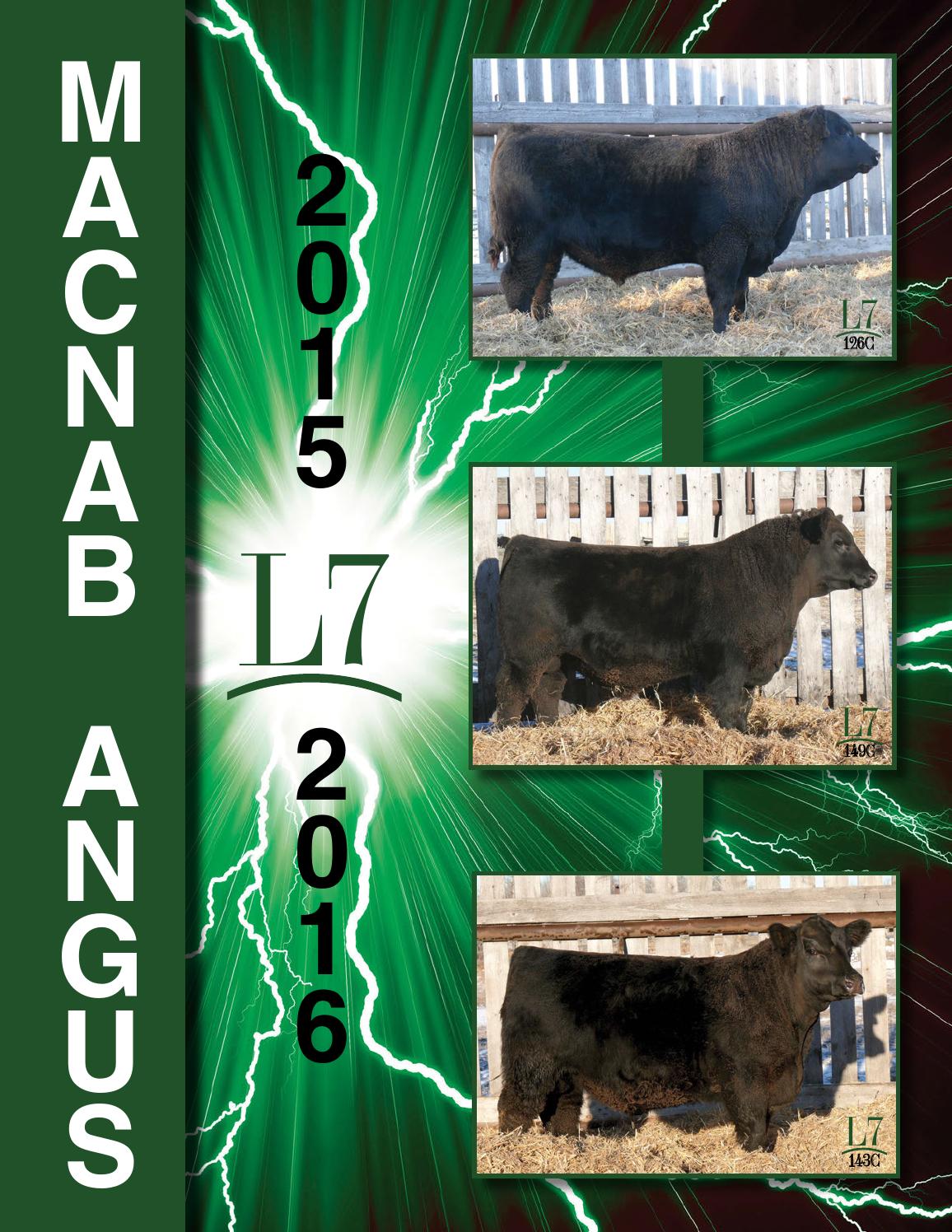 Macnab Angus by Today's Publishing Inc. - Issuu