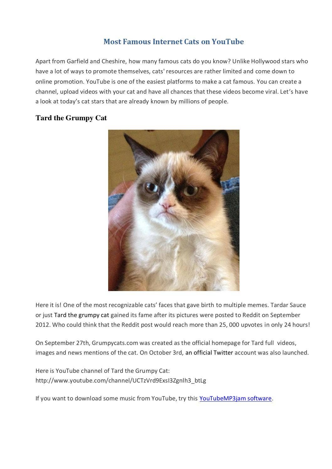 Most famous internet cats on youtube by Steellayes - Issuu