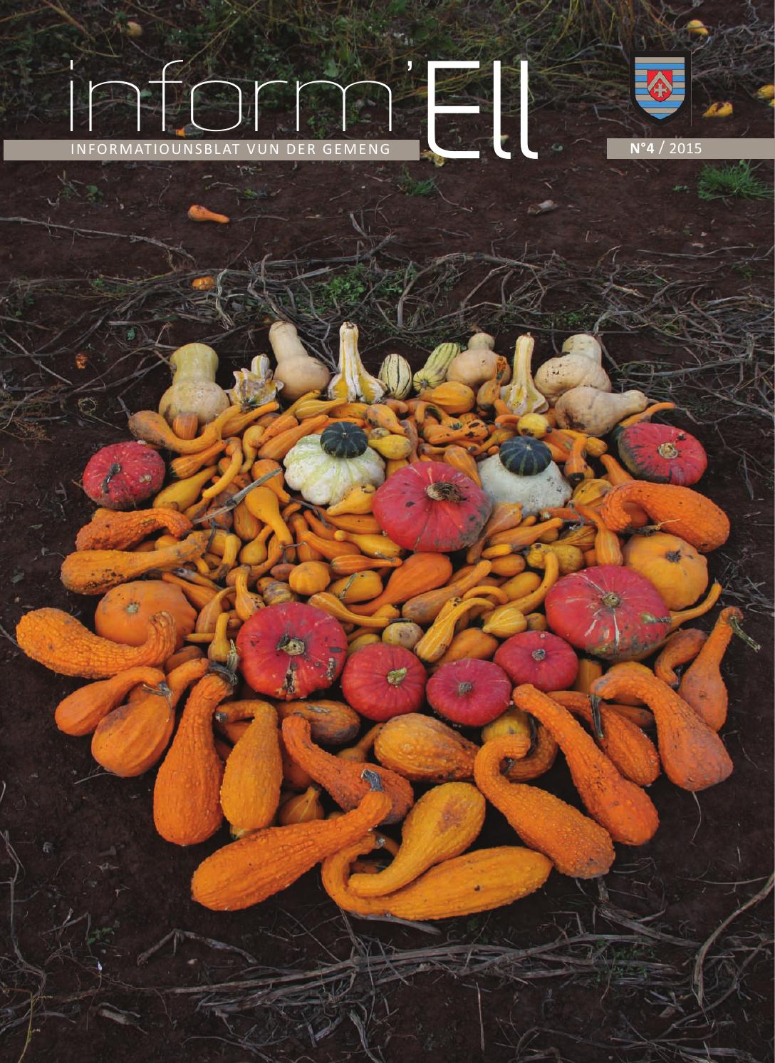Inform' Ell 4/2015 by Gemeng Ell - Issuu