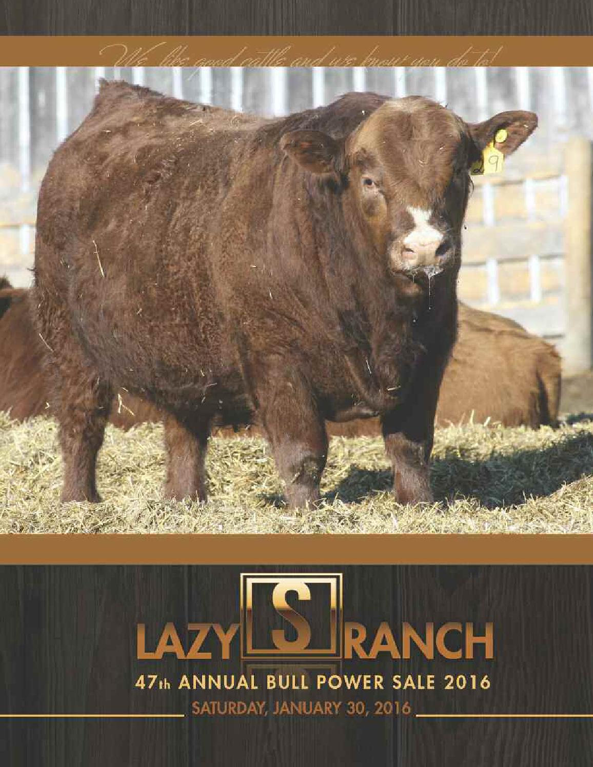 Lzay S Ranch 2016 Bull Power Sale by Kim Matthews - Issuu