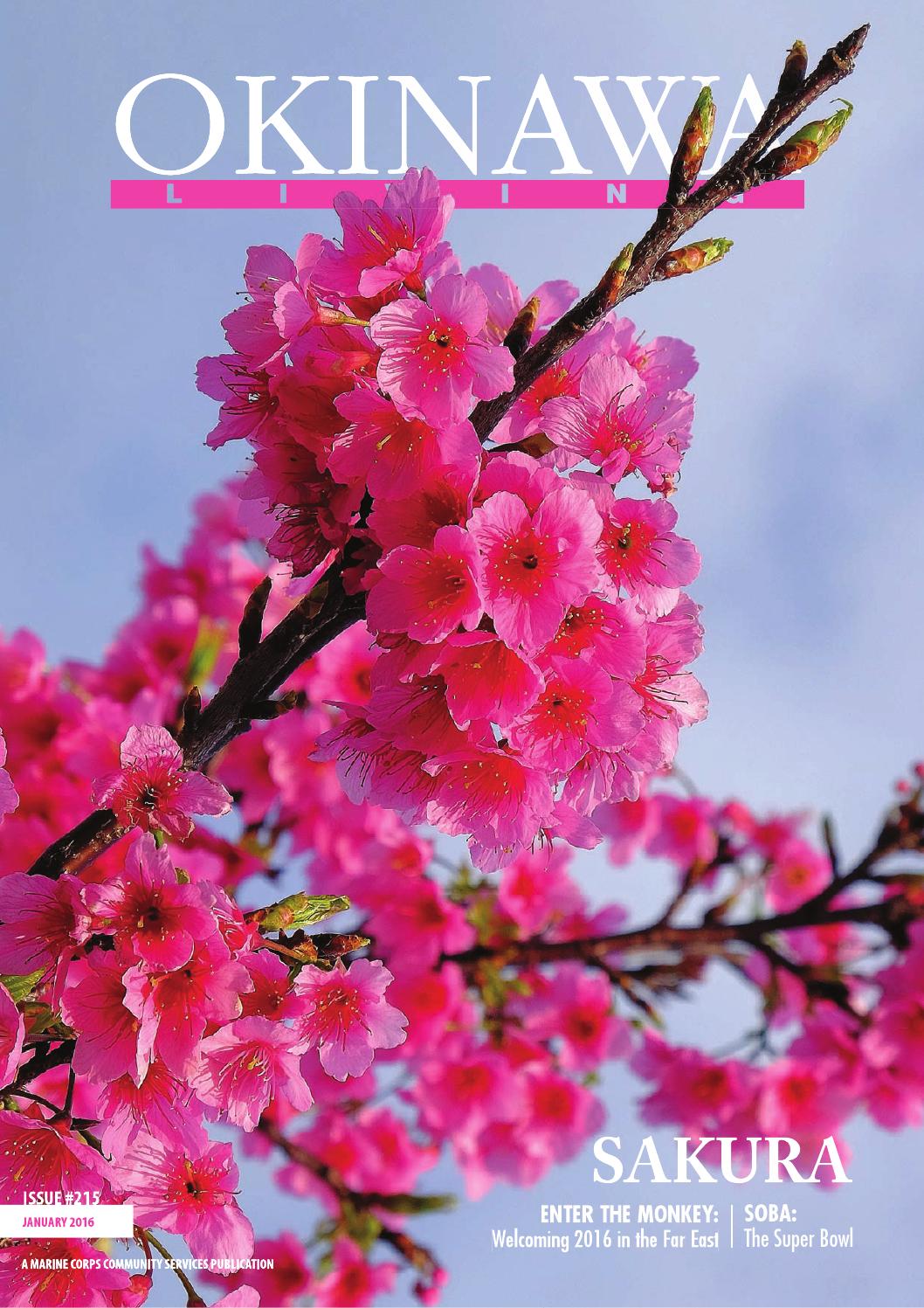 Okinawa Living Magazine by MCCS Okinawa - Issuu