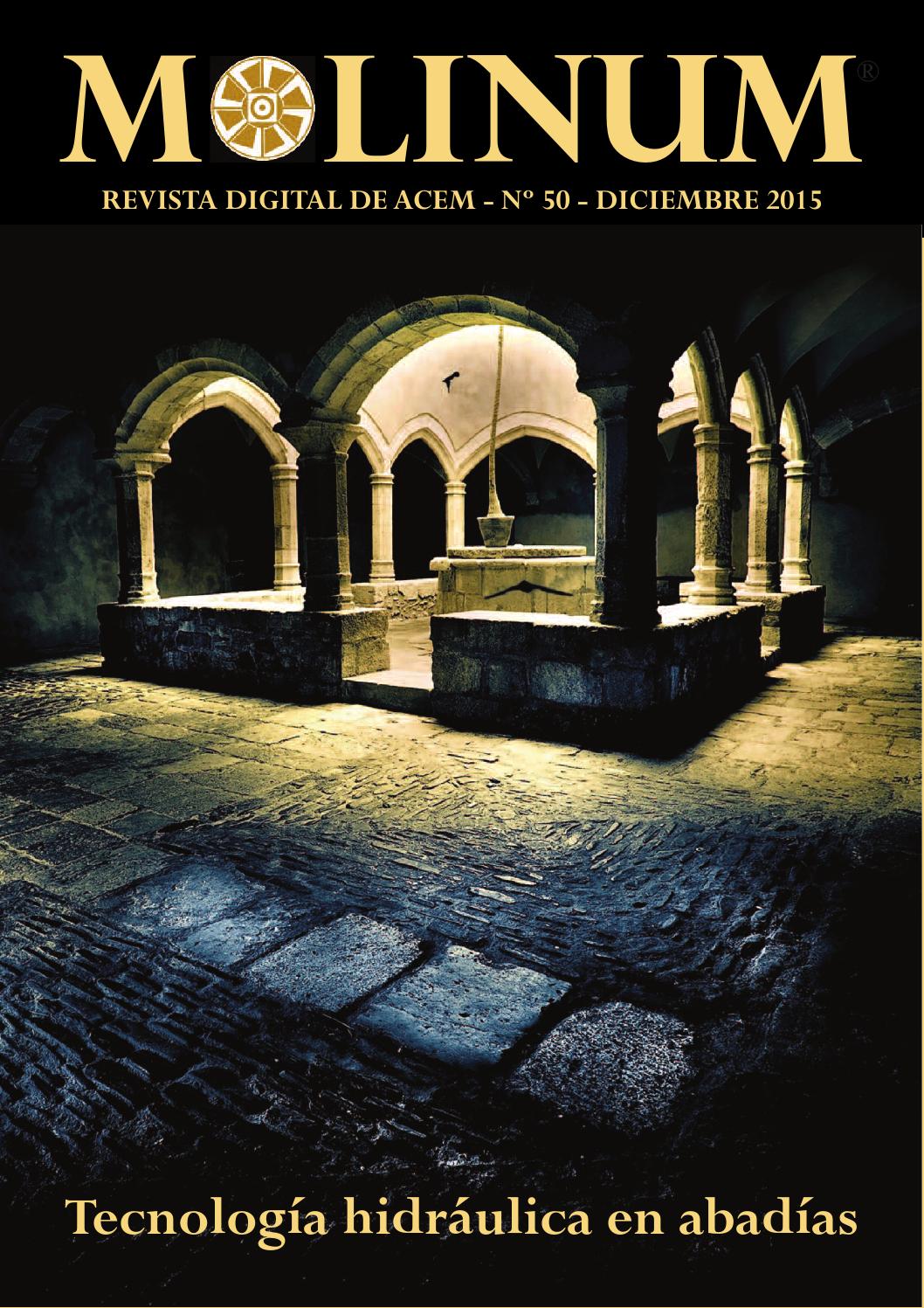 Molinum nº 50 - Diciembre 2015 by Asociación ACEM - Issuu