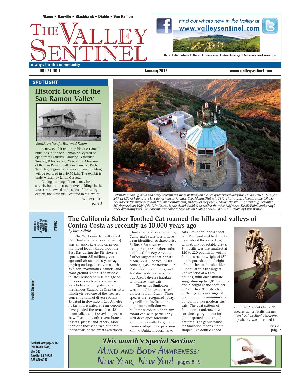 The Valley Sentinel_Jan 2016 by Sentinel Newspapers - Issuu