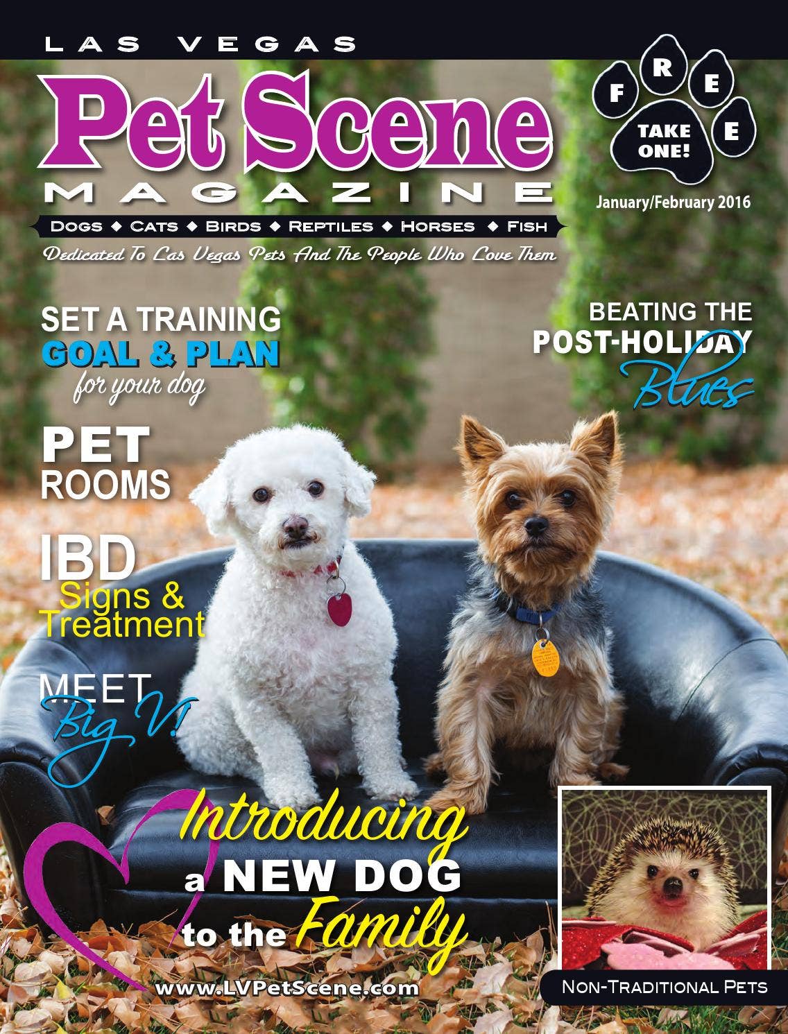 Las Vegas Pet Scene Magazine - January/February 2016 by Homes ...