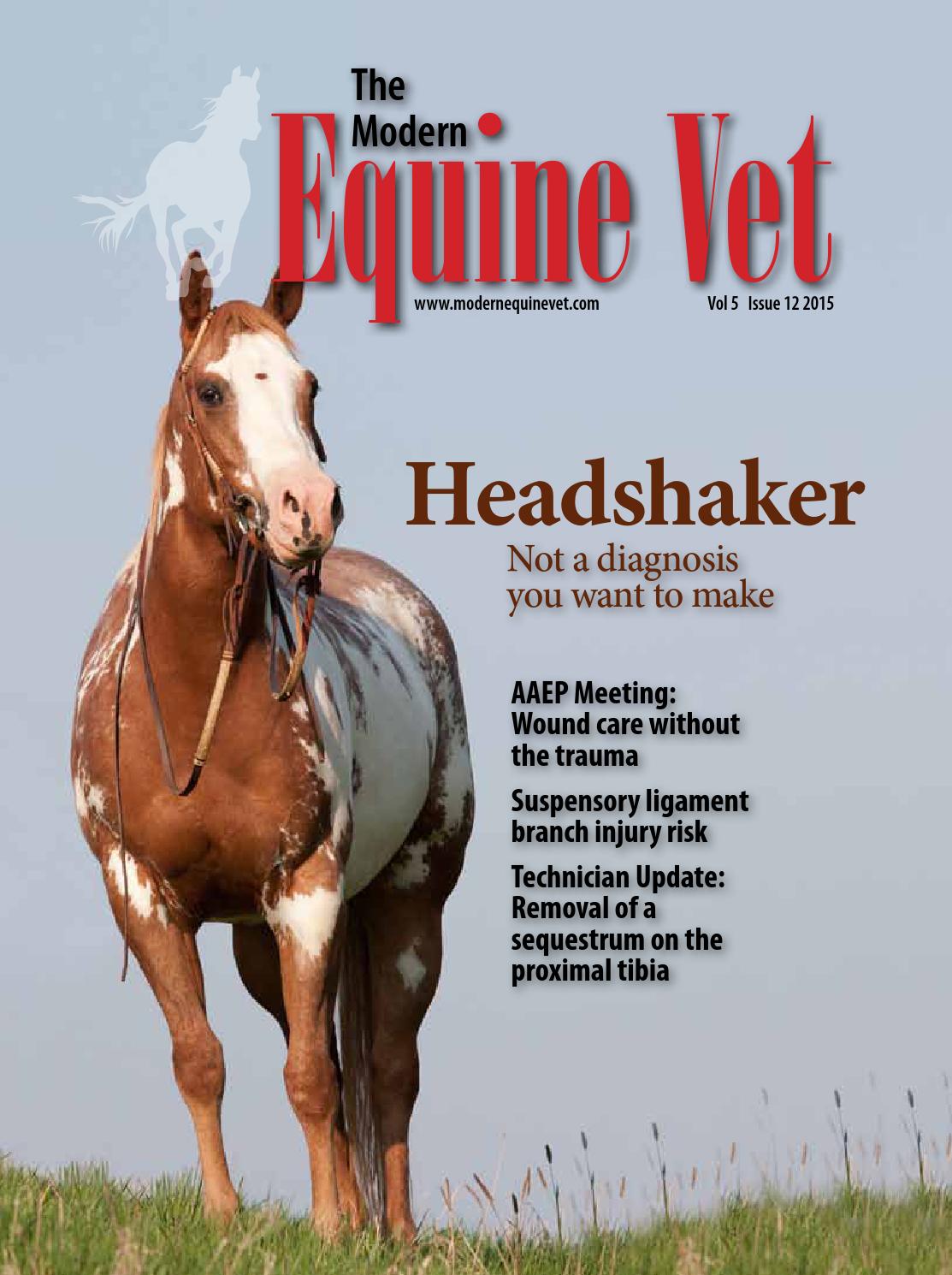 The Modern Equine Vet December 2015 by The Modern Equine Vet - Issuu
