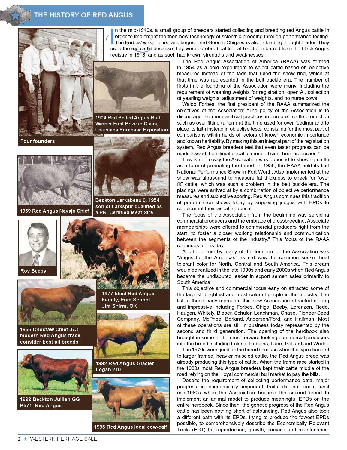 Western Heritage - On The Hill - Elite Red Angus Genetics by Cattle In ...