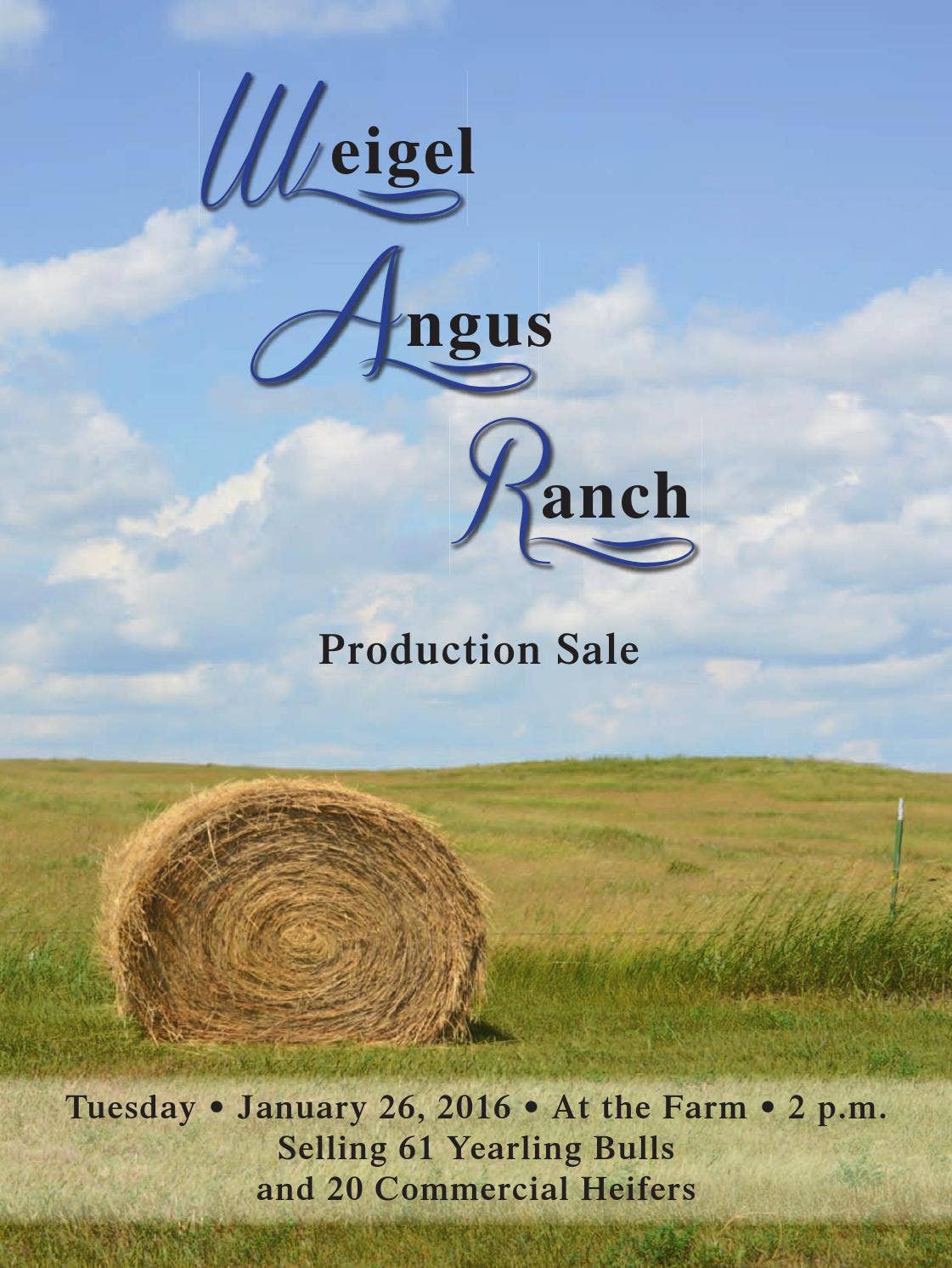 Weigel Angus Ranch 2016 Production Sale by LivestockDirect - Issuu