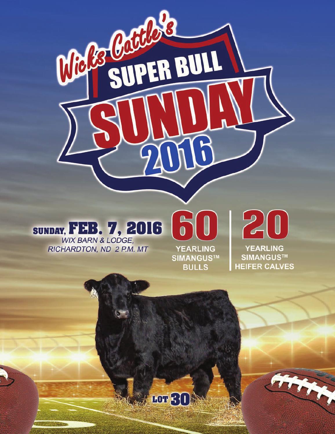 Wicks Cattle Super Bull Sunday 2016 by LivestockDirect - Issuu
