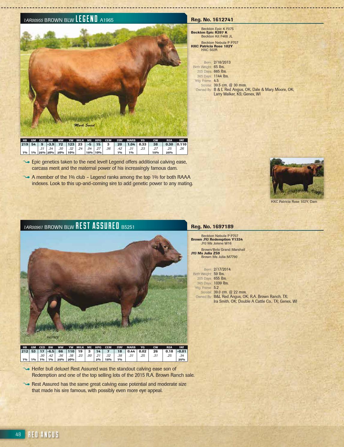 2016 Genex Beef Genetic Management Guide by GENEX - Issuu