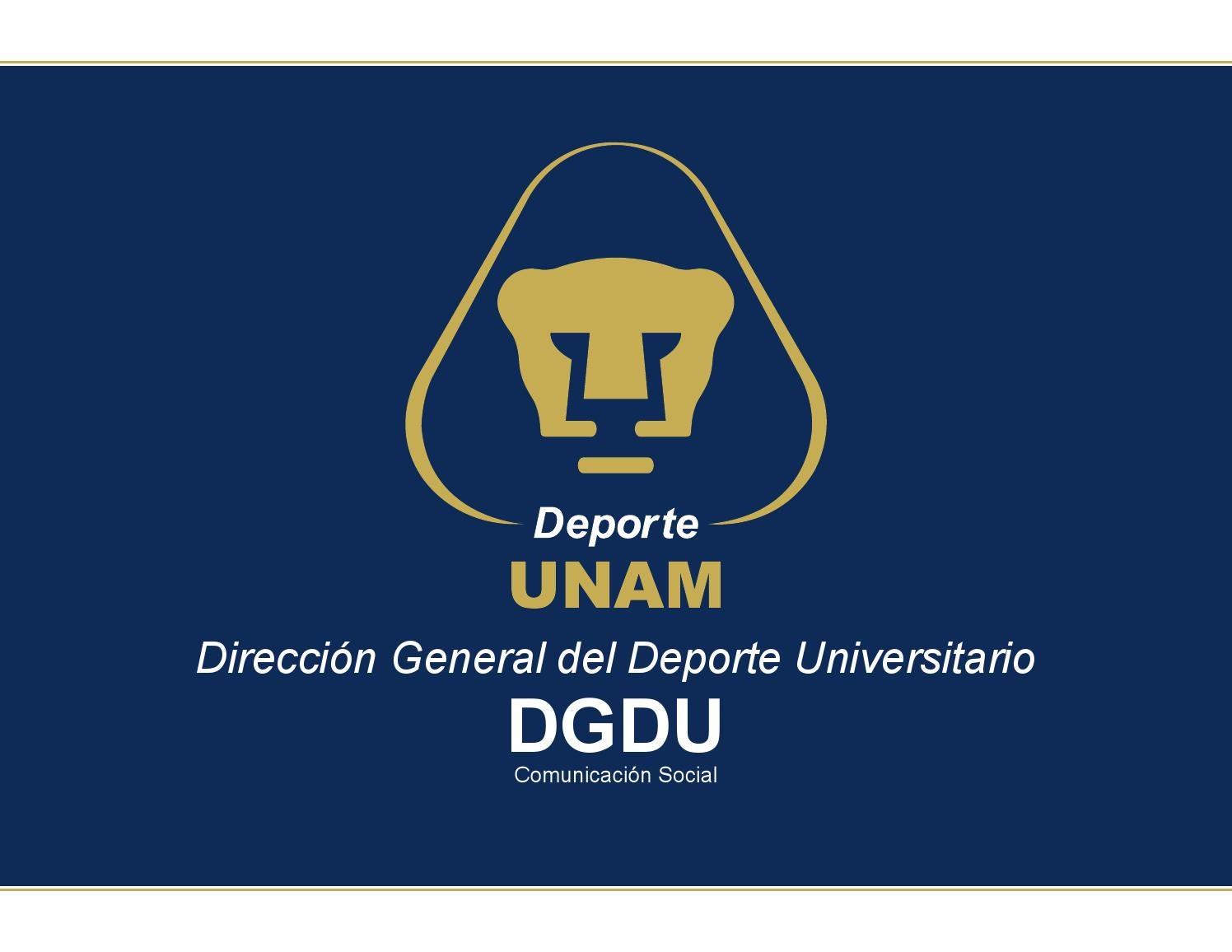 Reporte 2015 DGDU by Adriana Lima - Issuu