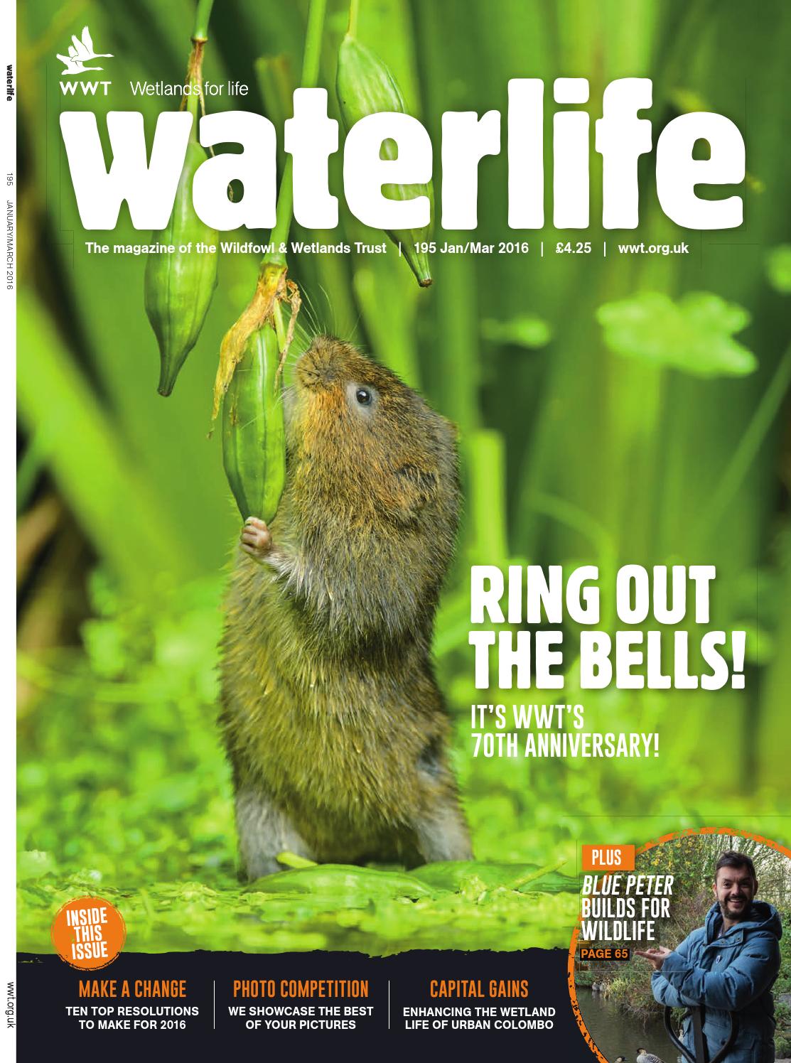 Waterlife January - March 2016 by WWT Waterlife - Issuu