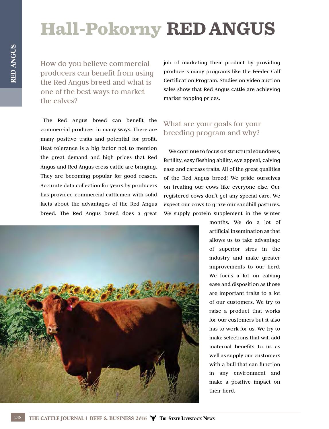 2016 Cattle Journal -- Beef & Business by Tri-State Livestock News ...