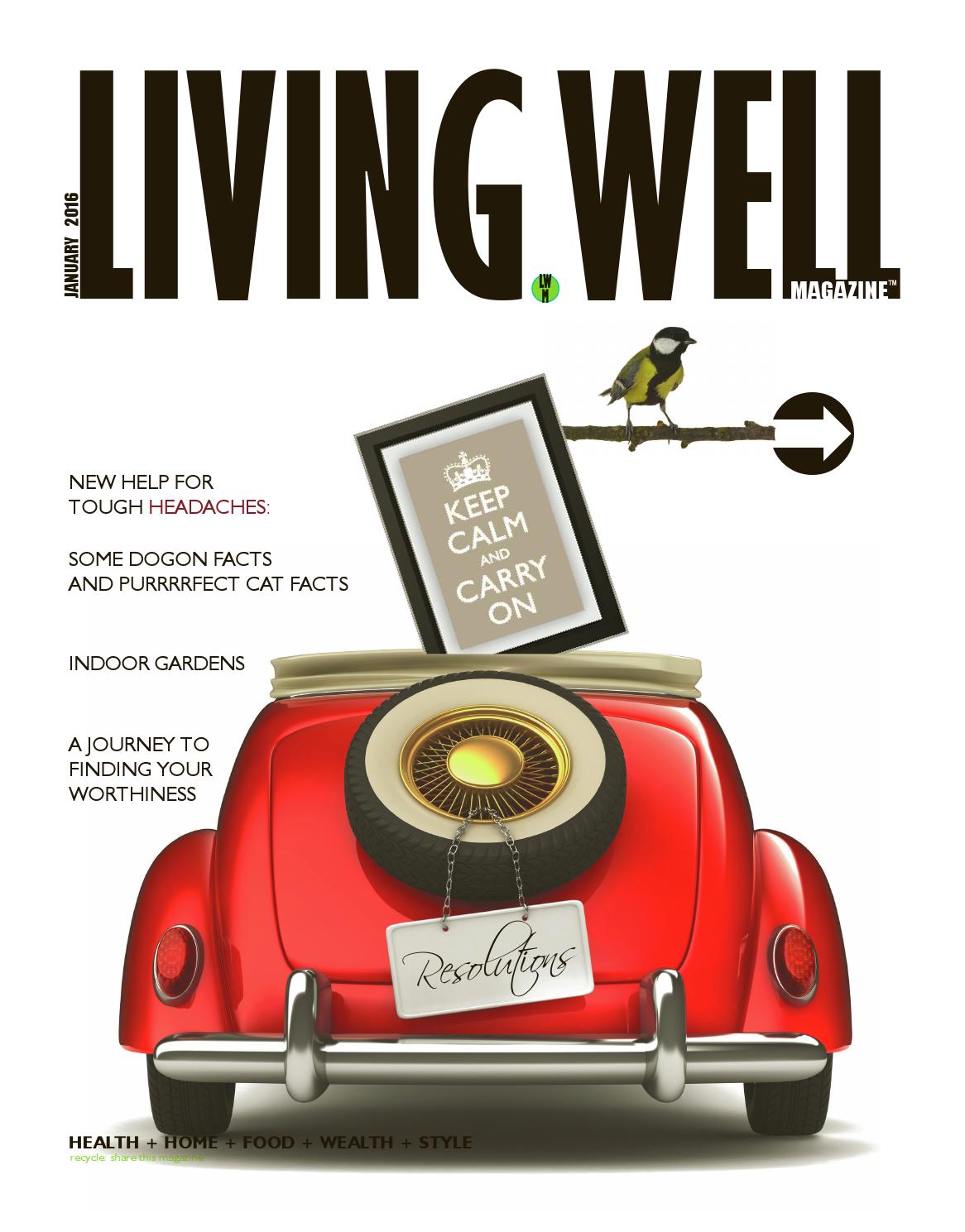 Living. Well Magazine 2016 by Living.Well Magazine - Issuu