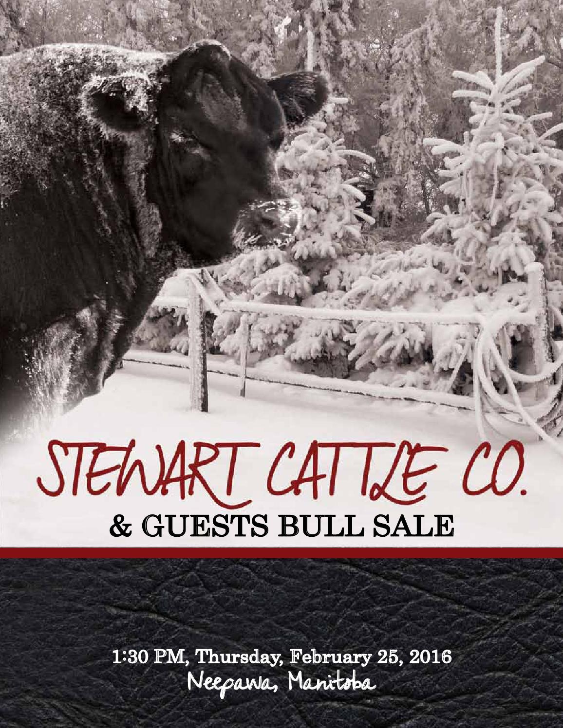 Stewart Cattle Co. & Guests Bull Sale by Prairie Pistol Designs - Issuu