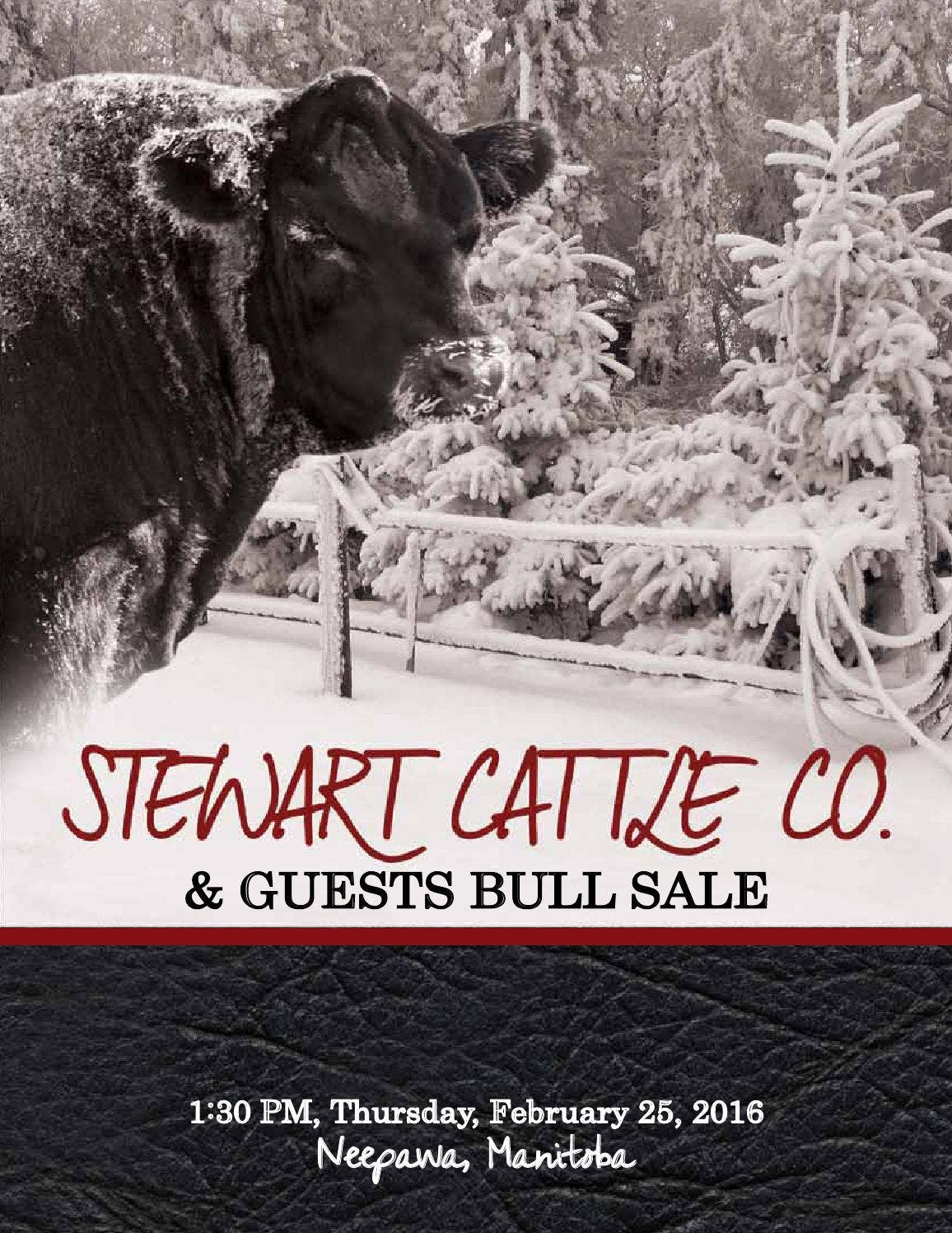 2016 Stewart Cattle Co. by Coyote Publishing Ltd. - Issuu