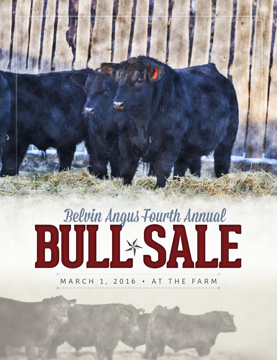 2016 Belvin Angus Bull Sale by Catalogs by Top Stock - Issuu