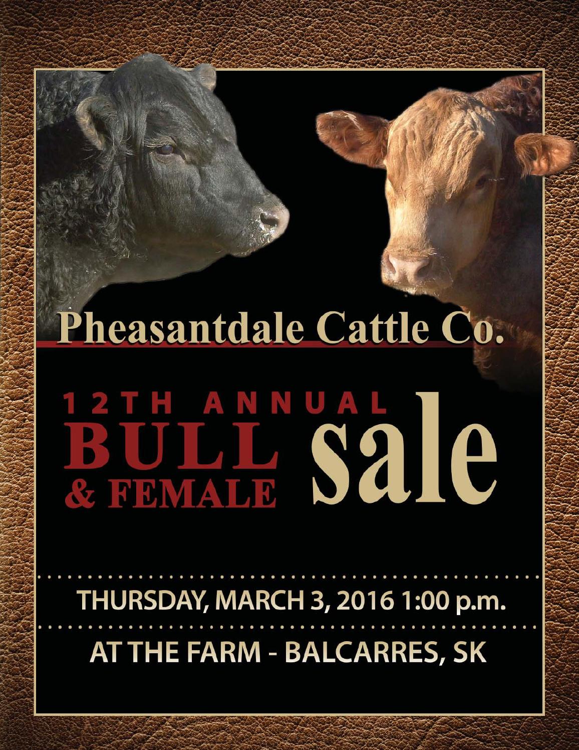 Pheasantdale 12th Annual Bull & Female Sale by Bohrson Marketing ...