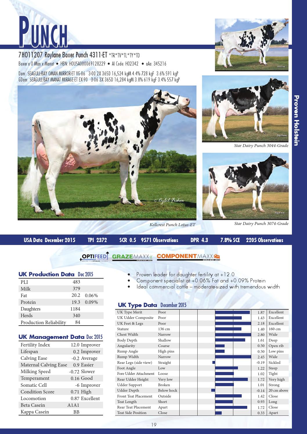 World Wide Sires (UK) December Catalog by World Wide Sires, LTD - Issuu