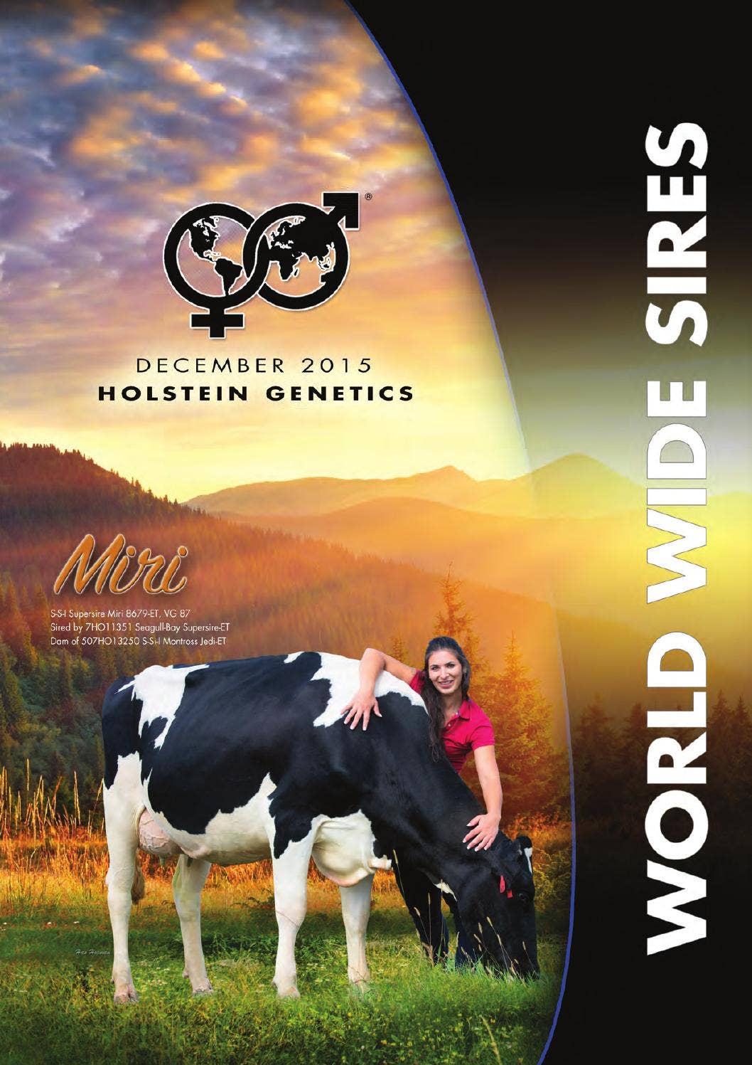 World Wide Sires (UK) December Catalog by World Wide Sires, LTD - Issuu