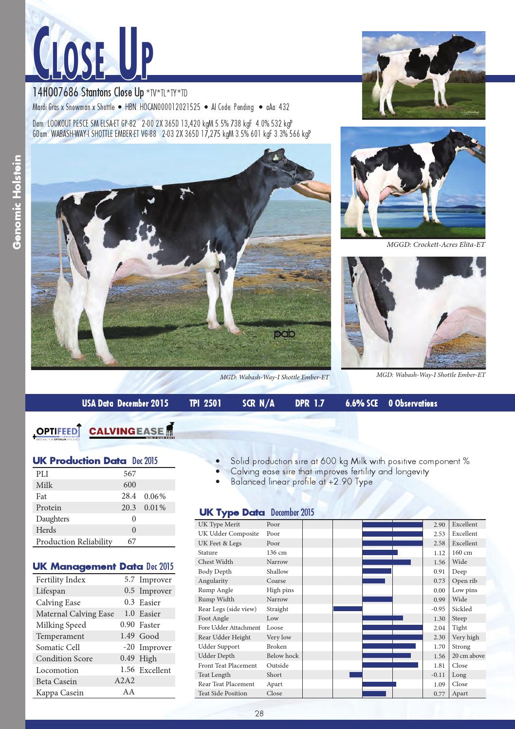 World Wide Sires (UK) December Catalog by World Wide Sires, LTD - Issuu