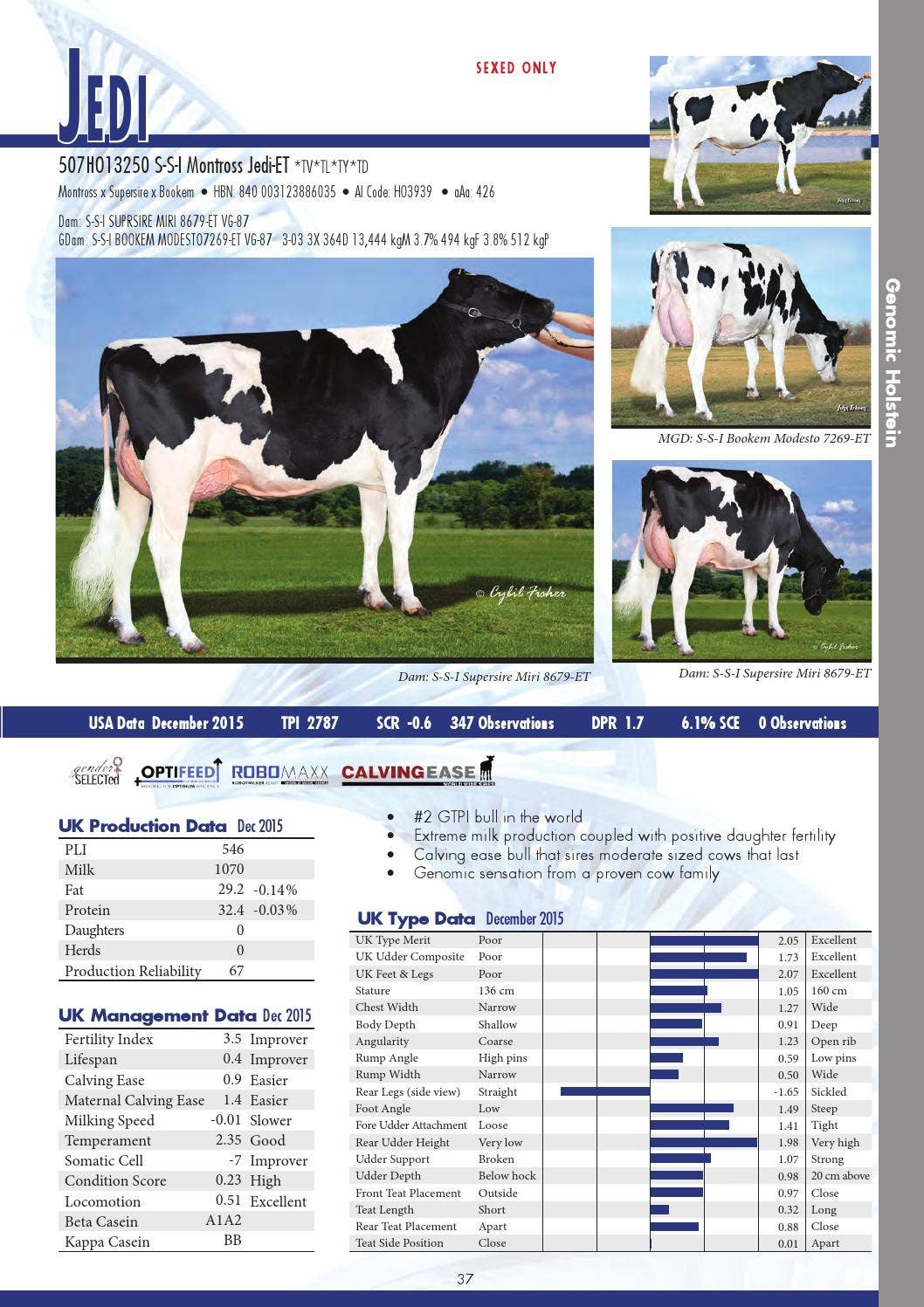 World Wide Sires (UK) December Catalog by World Wide Sires, LTD - Issuu