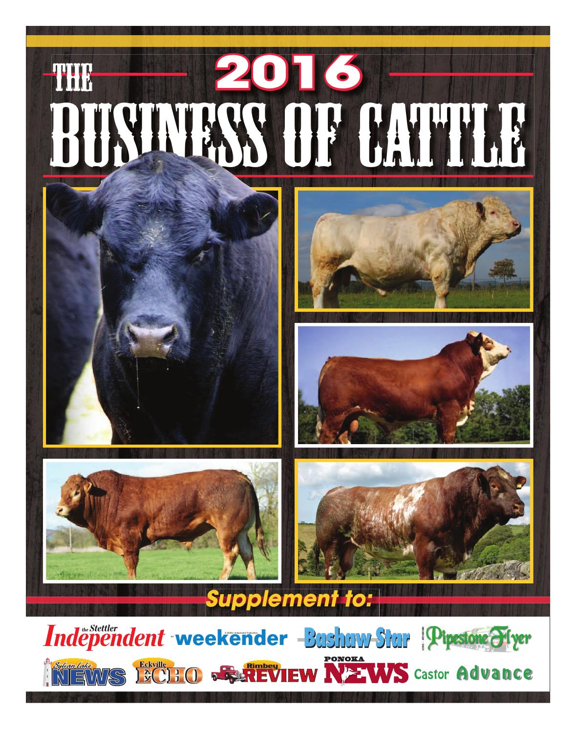 Special Features - Business of Cattle 2016 by Black Press Media Group ...