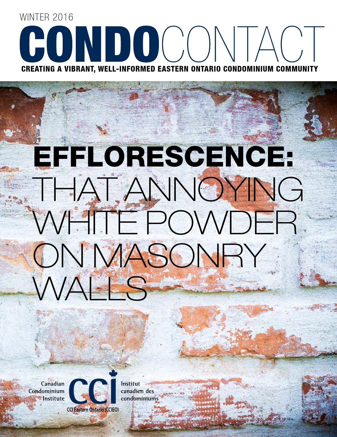 Condo Contact Magazine - Winter 2016 by LS Graphics - Issuu