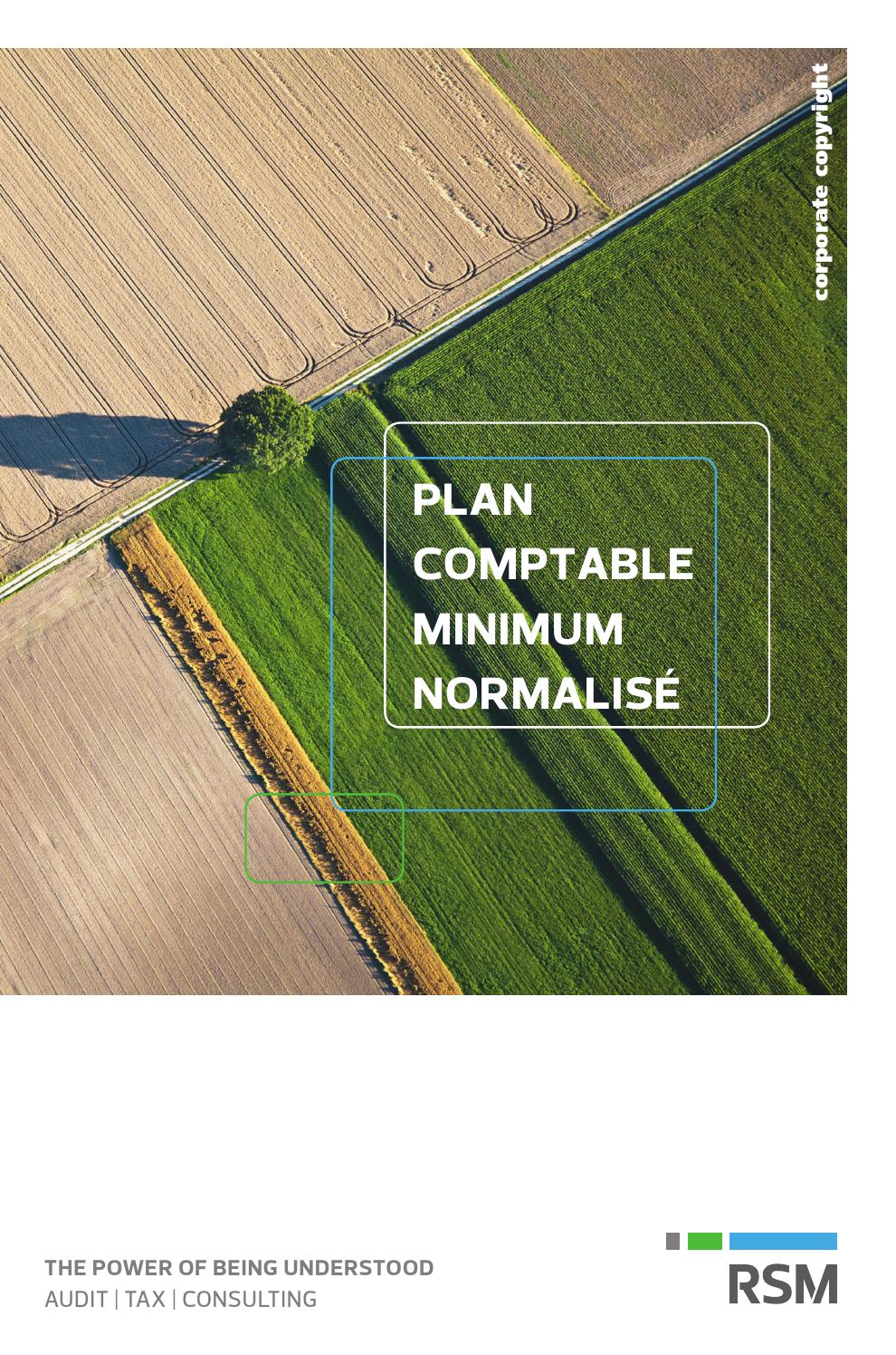 Plan Comptable Minimum Normalisé 2016 by corporate copyright - Issuu