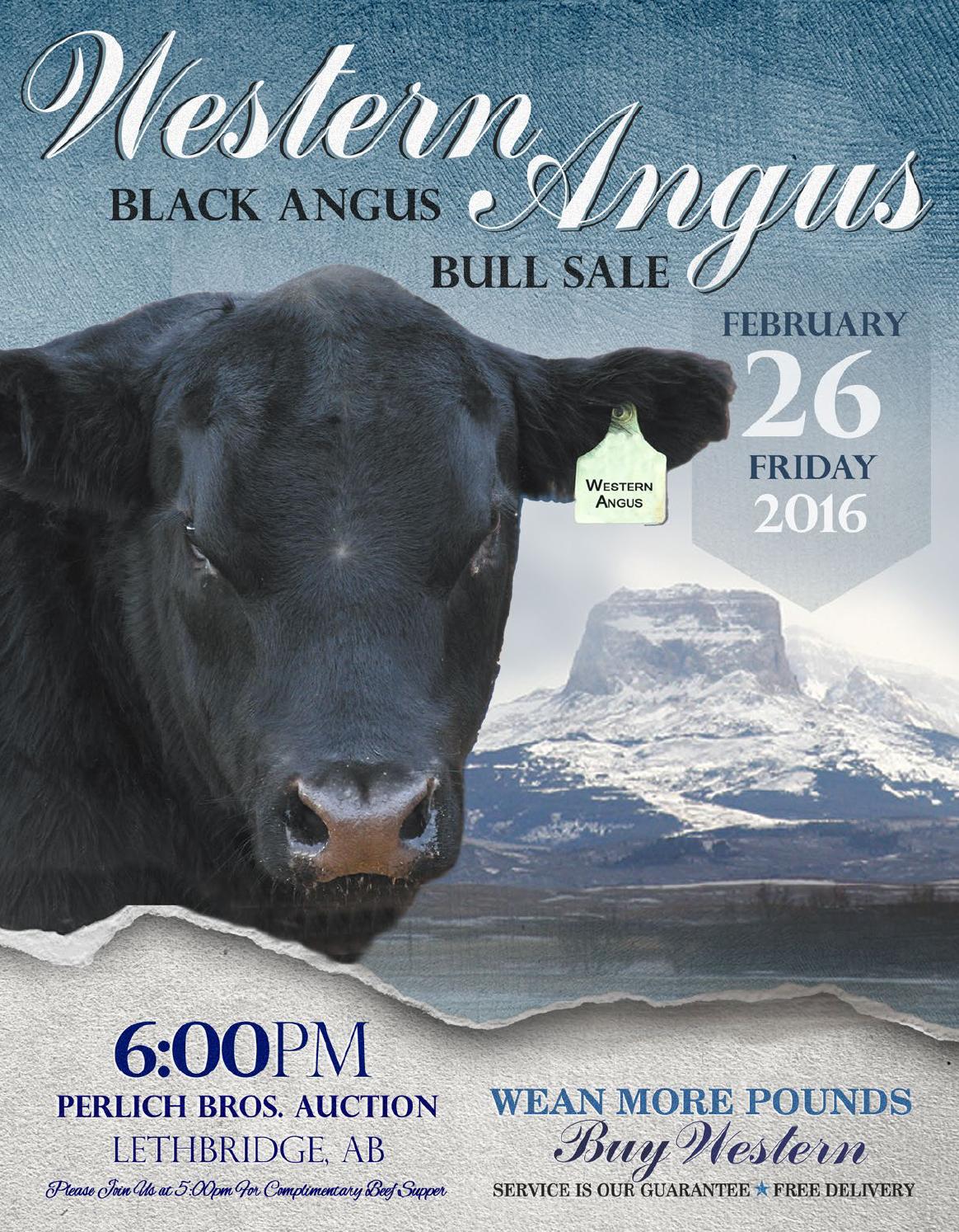 2016 Western Angus Black Angus Bull Sale by Coyote Publishing Ltd. - Issuu
