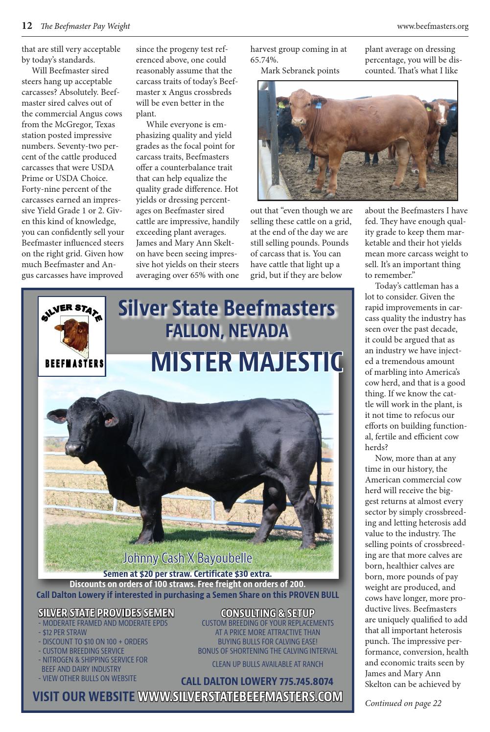 The Beefmaster Pay Weight - Spring 2016 by Beefmaster Breeders United ...
