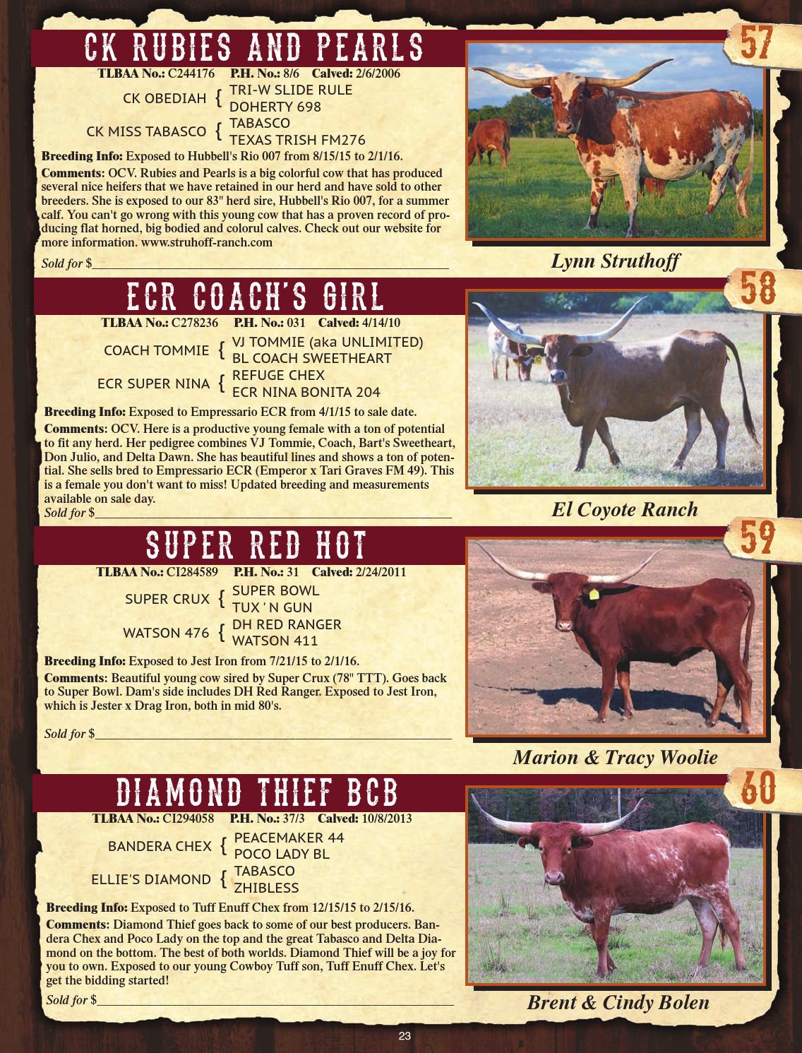 Cattle Baron's Premier Longhorn Sale Catalog by Texas Longhorn Trails ...